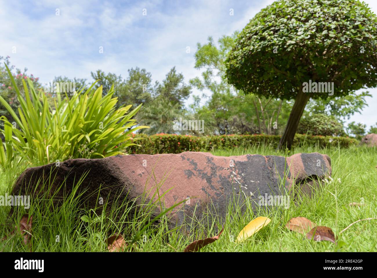 Beautiful parks with a big stone Stock Photo - Alamy