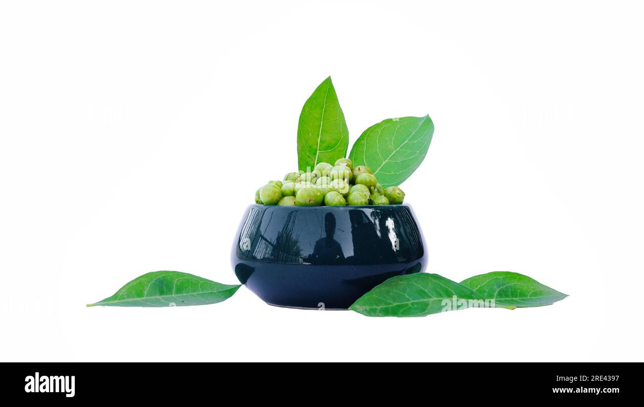 Lawsonia Inermis Leaf