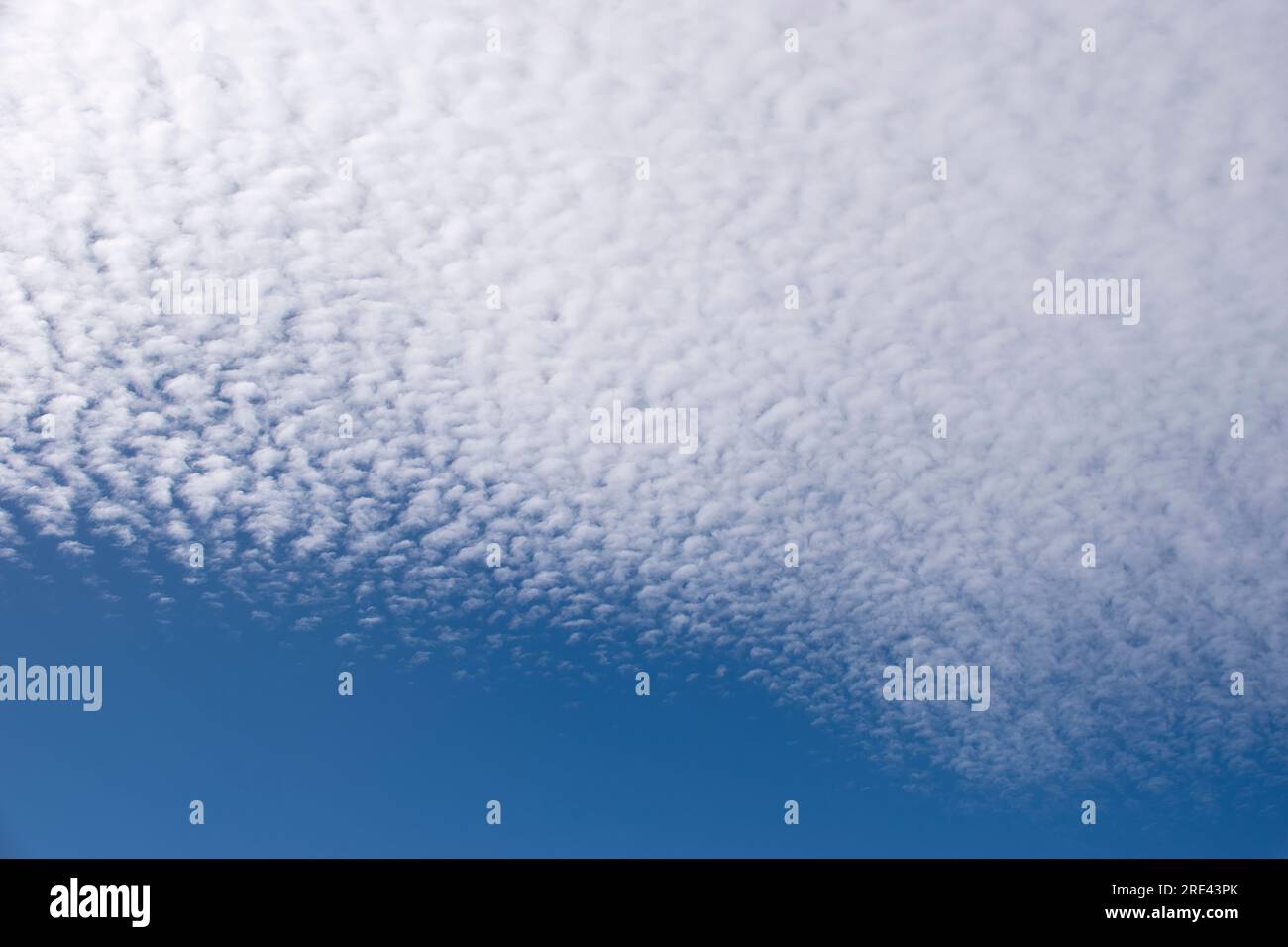 Altocumulus stratiformia hi-res stock photography and images - Alamy