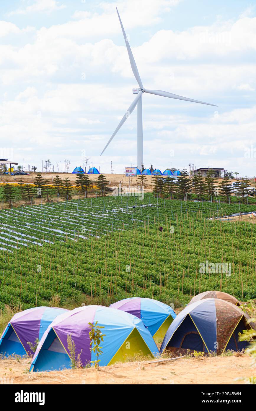 Tourist attractions in agriculture and nature with wind turbines and ...