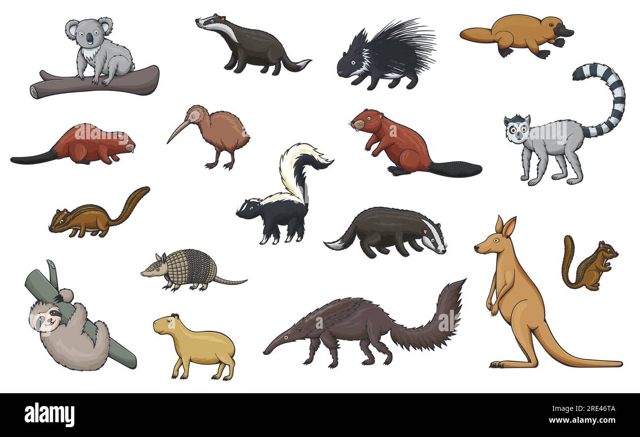 Animal cartoon icons of hunting sport, zoo and wildlife. Vector ...