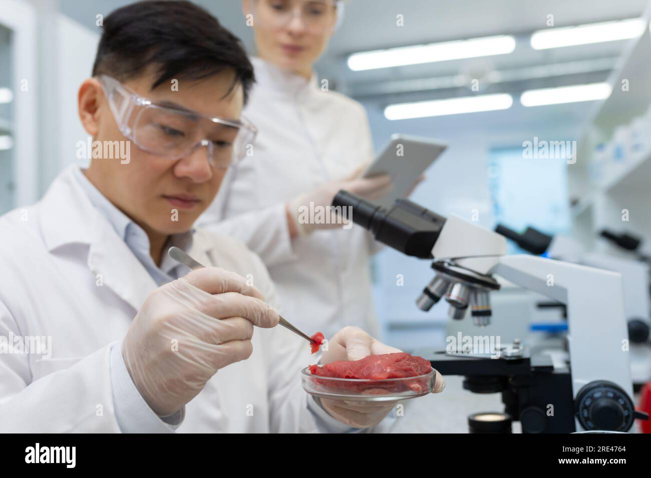 A male researcher in the laboratory examines meat, a team of scientists ...