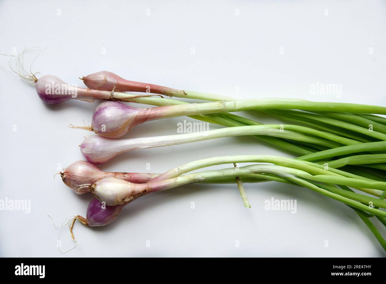 Green onions with bulbs on a white background. Healthy eating Stock ...