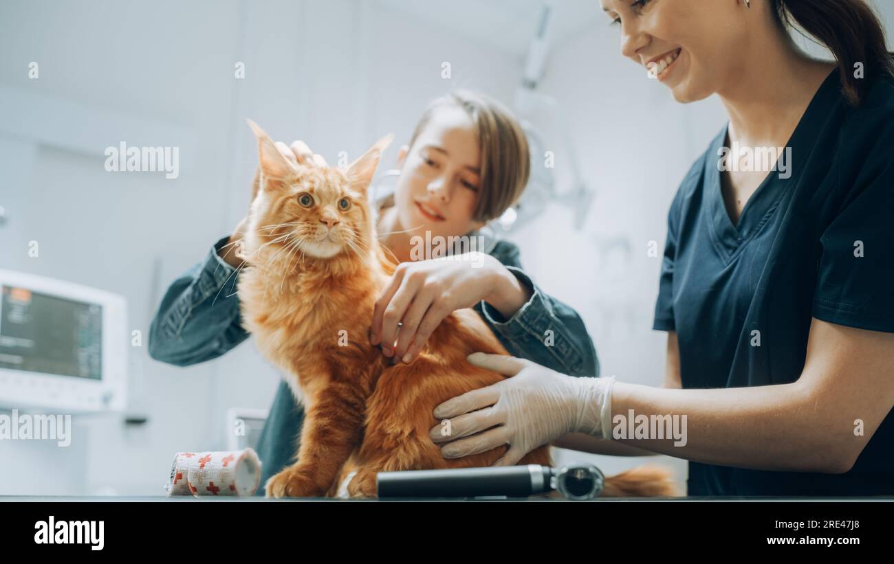 Customer Accompanying Their Domestic Animal at Doctor's Appointment at ...