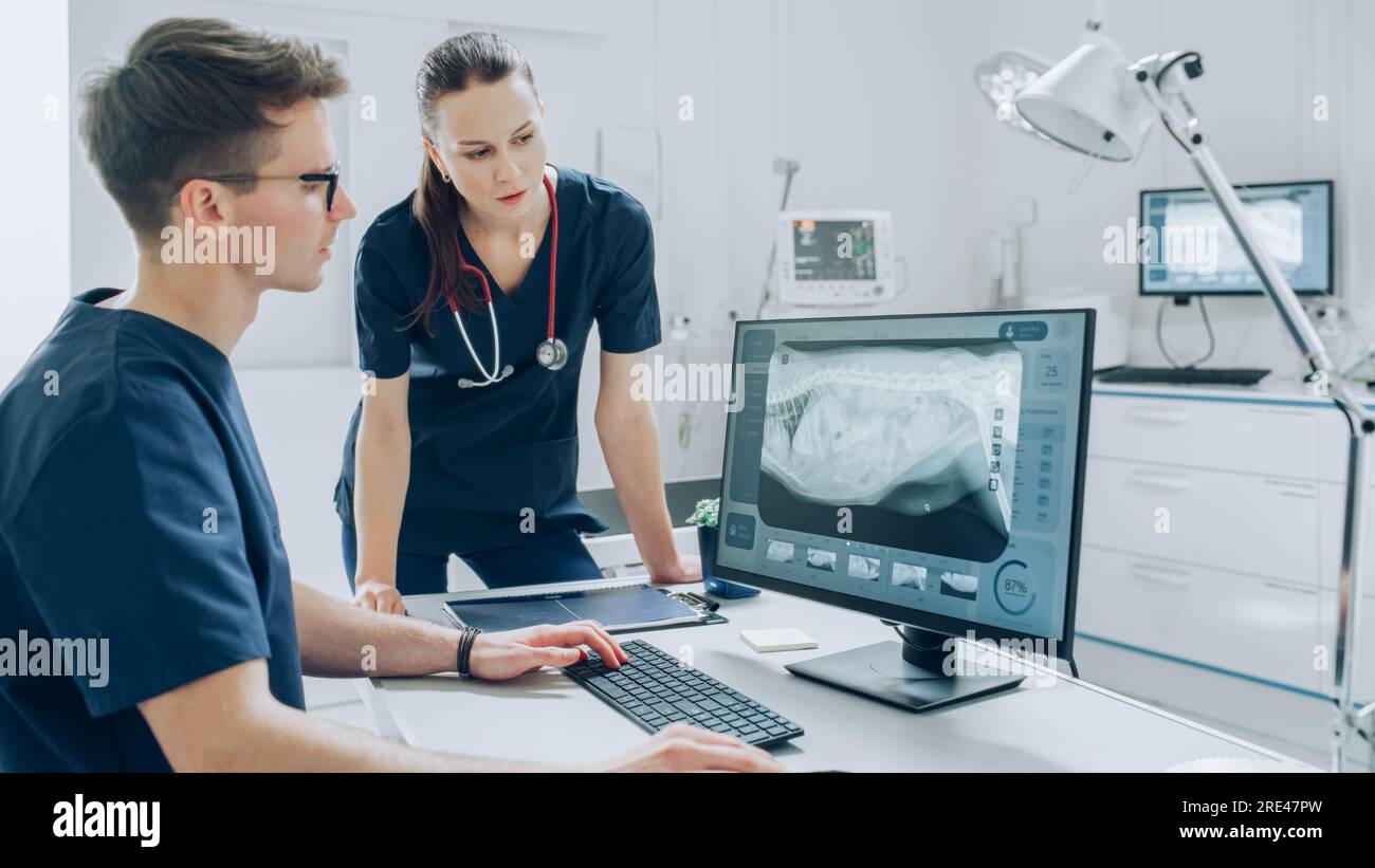 Female and Male Veterinarians Doing Health Check Ups on a Visiting Pet ...