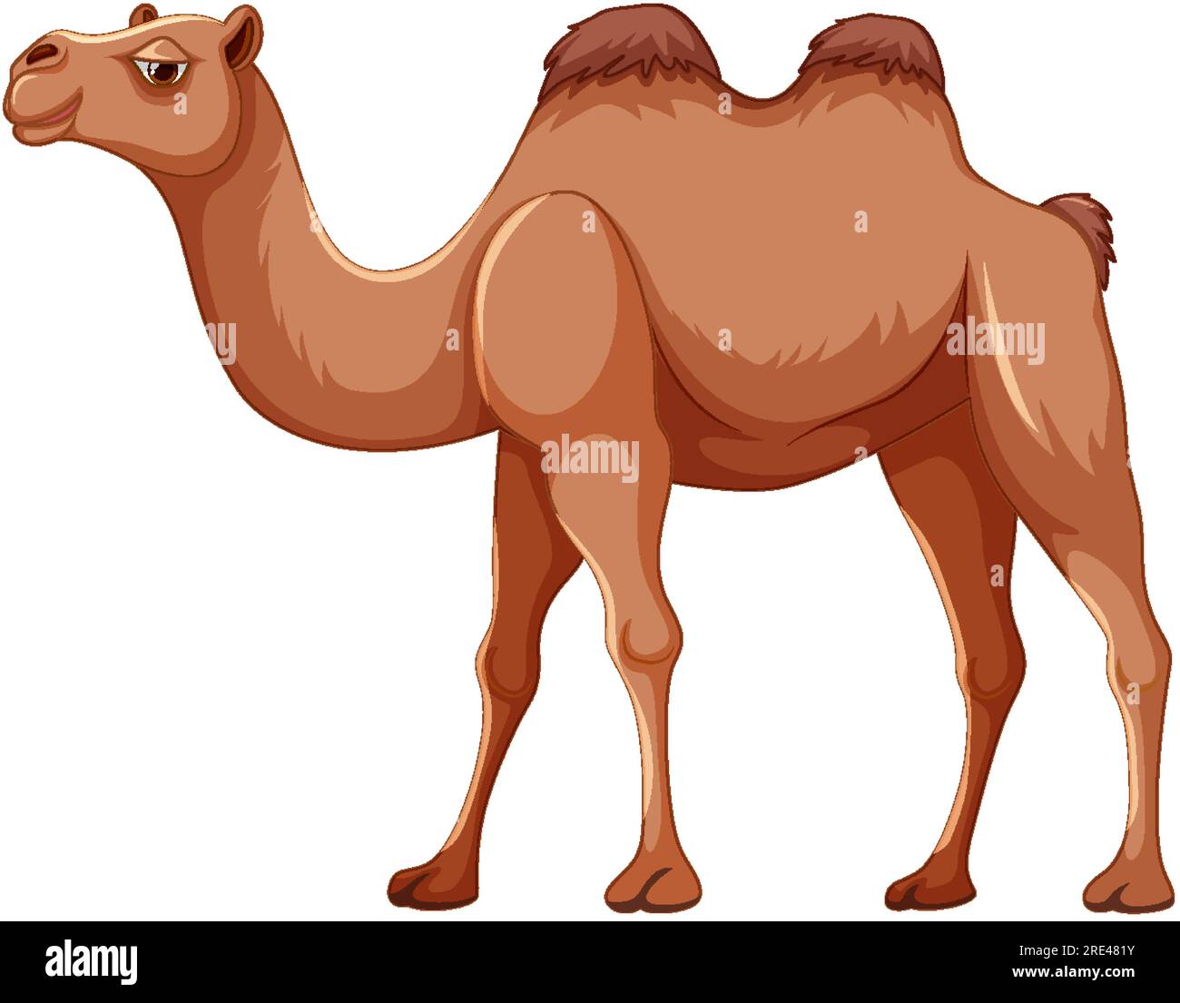 A cartoon illustration of a camel walking, isolated on a white ...