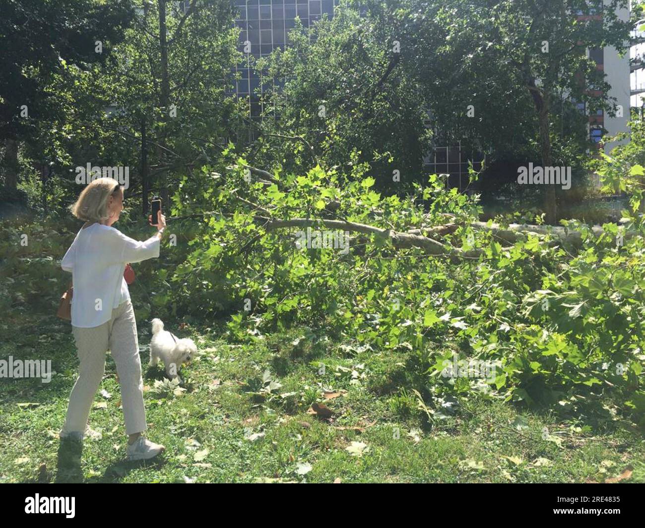Milan - Damage caused by the violent storm that occurred in Milan ...
