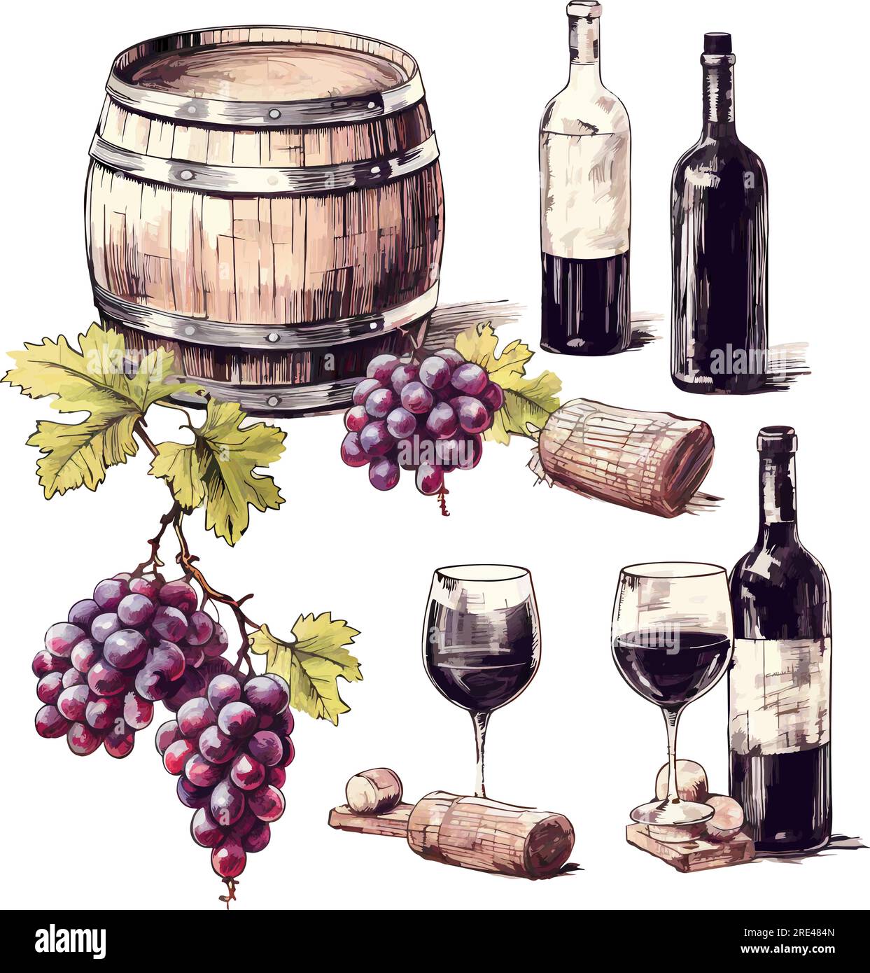 Vector grapevine and grapes hand drawing on white icon eps10. Vector ...