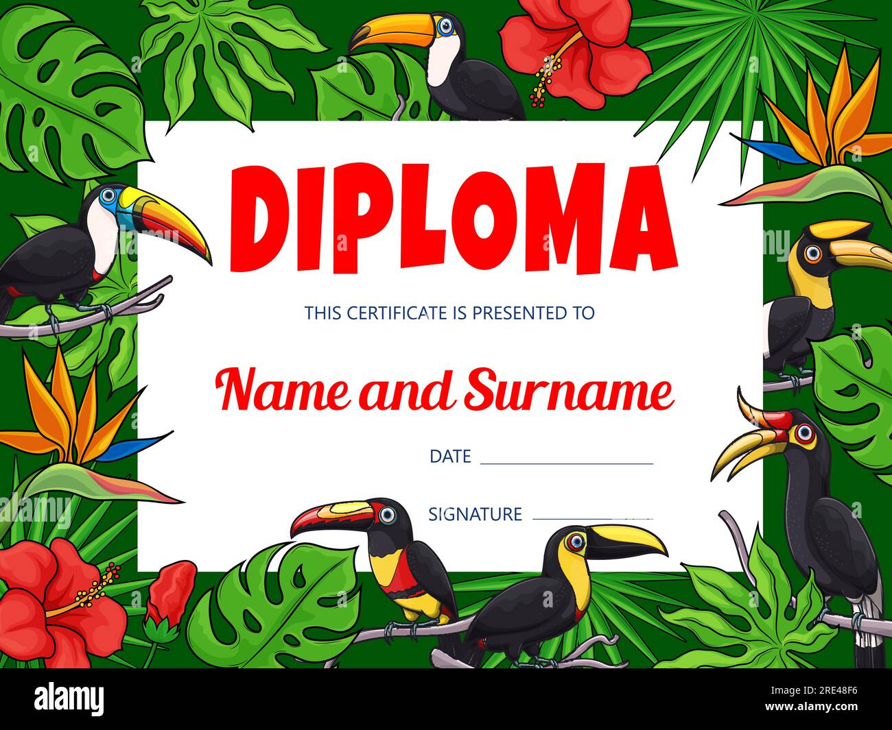 Kids education diploma with cartoon vector toucan birds and jungle ...