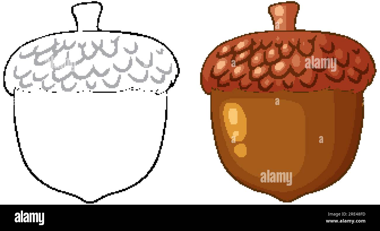 Isolated Acorn with its Outline illustration Stock Vector Image & Art ...