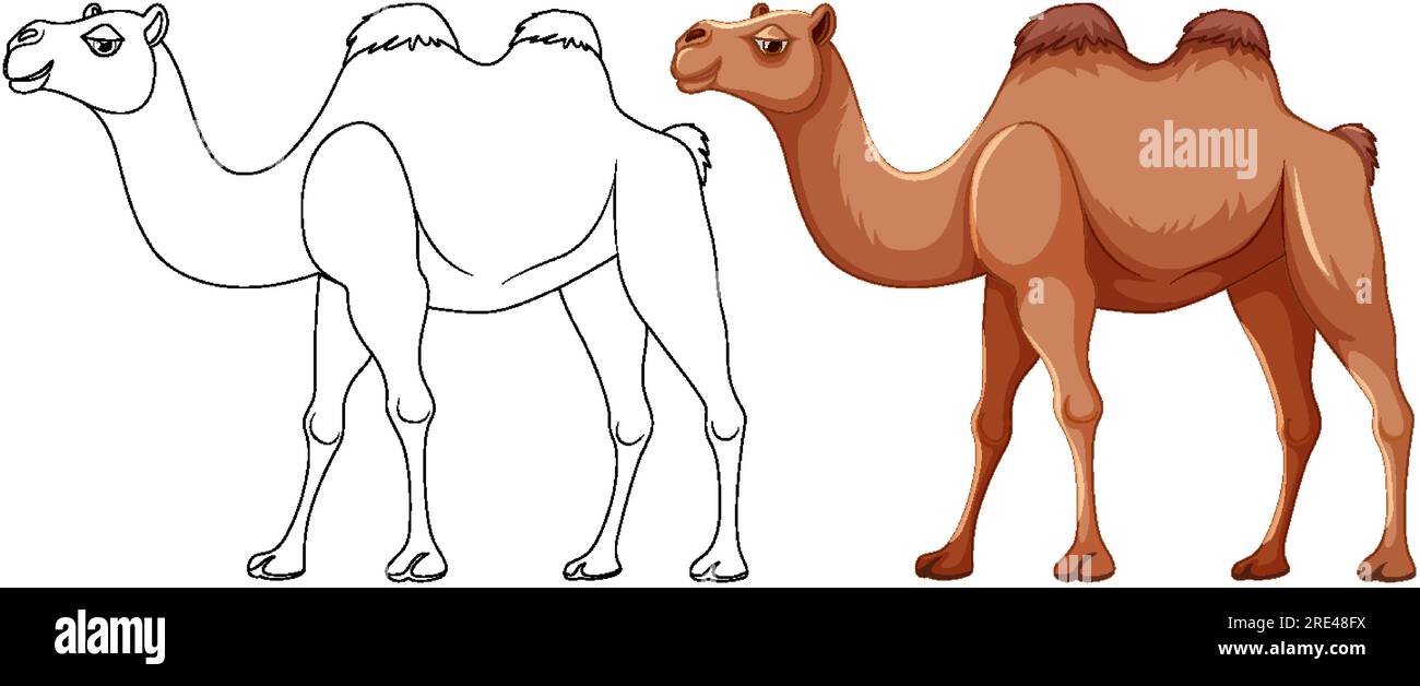 A vector cartoon illustration of a camel walking with its outline for ...
