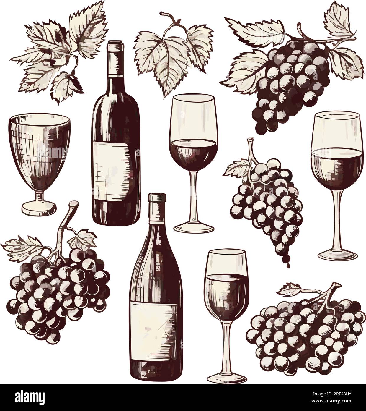 Vector grapevine and grapes hand drawing on white icon eps10. Vector ...