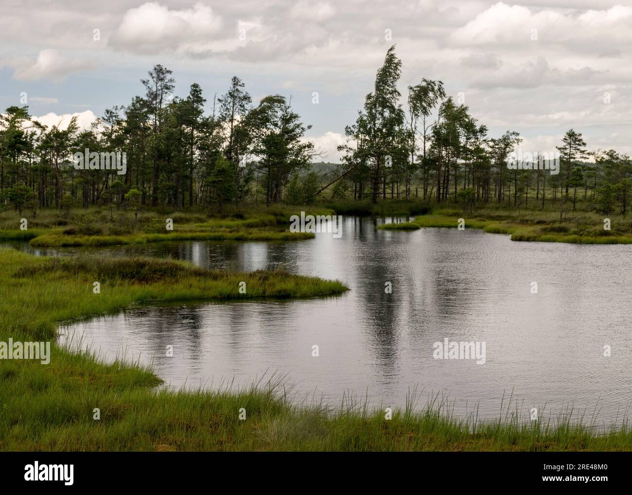 landscape with stunning bog views. beautiful clouds. View of the ...