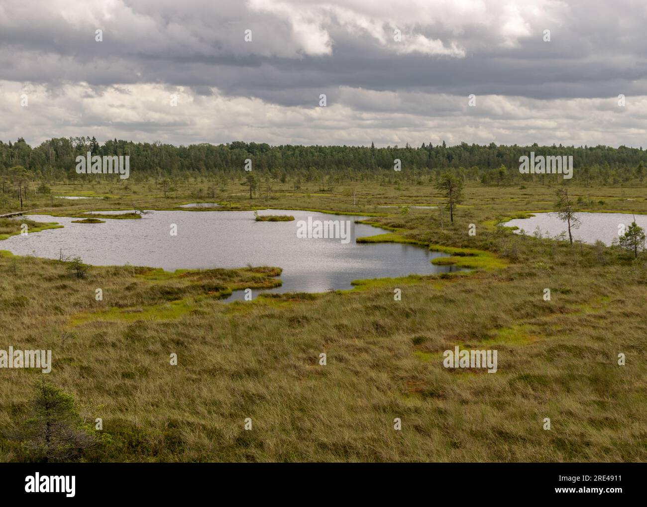 landscape with stunning bog views. beautiful clouds. View of the ...
