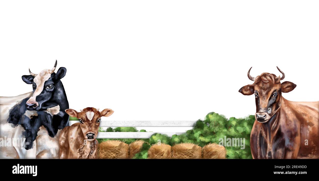 Horizontal border with a composition of cow, bull and calf. Farm ...