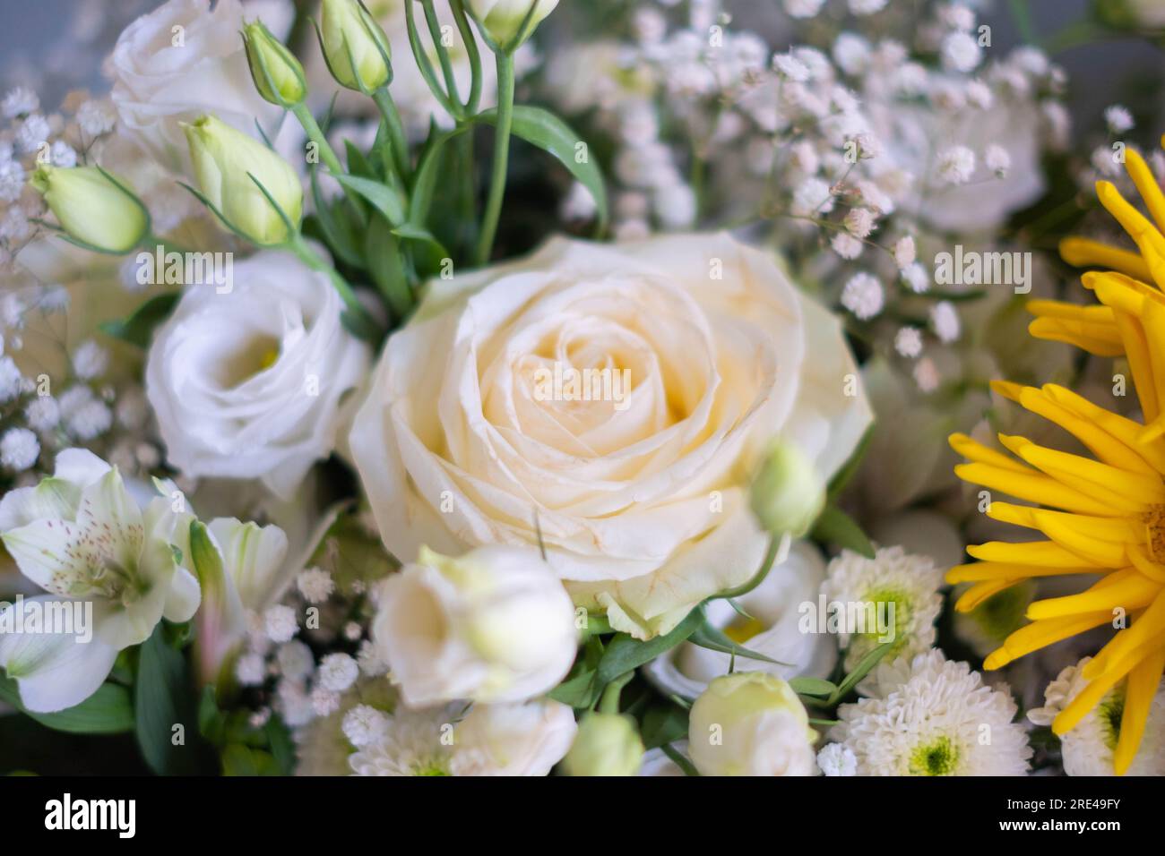 Bunch of white flower hi-res stock photography and images - Alamy
