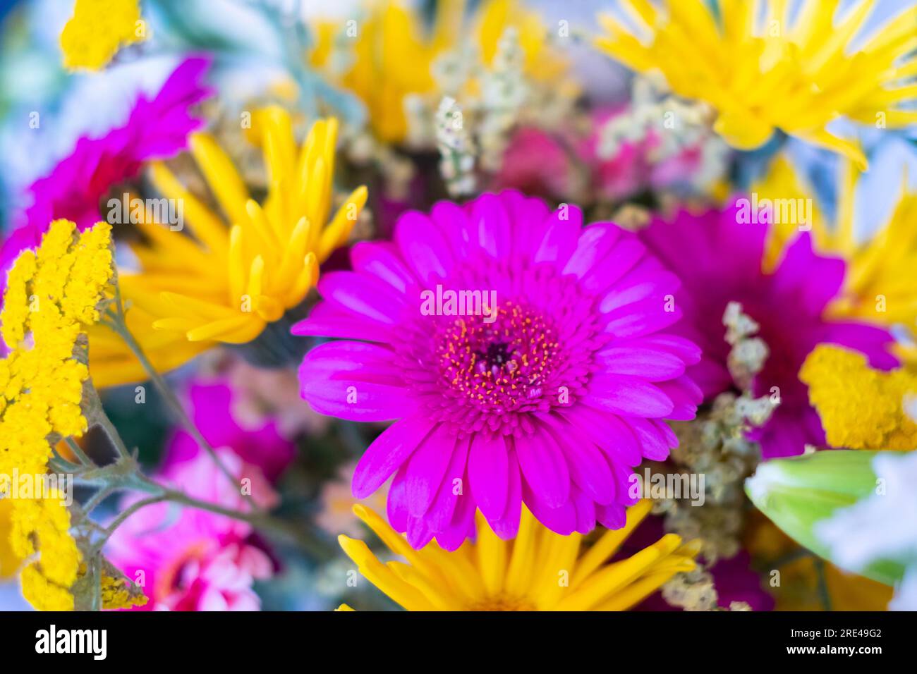 Flower arrangement closeup hi-res stock photography and images - Alamy