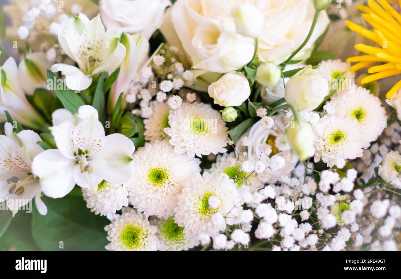 Closeup bunch hi-res stock photography and images - Alamy