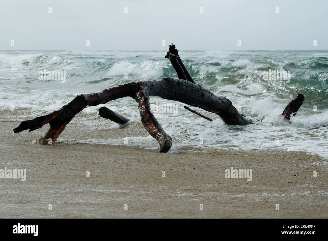 Ocean dead zone hi-res stock photography and images - Alamy
