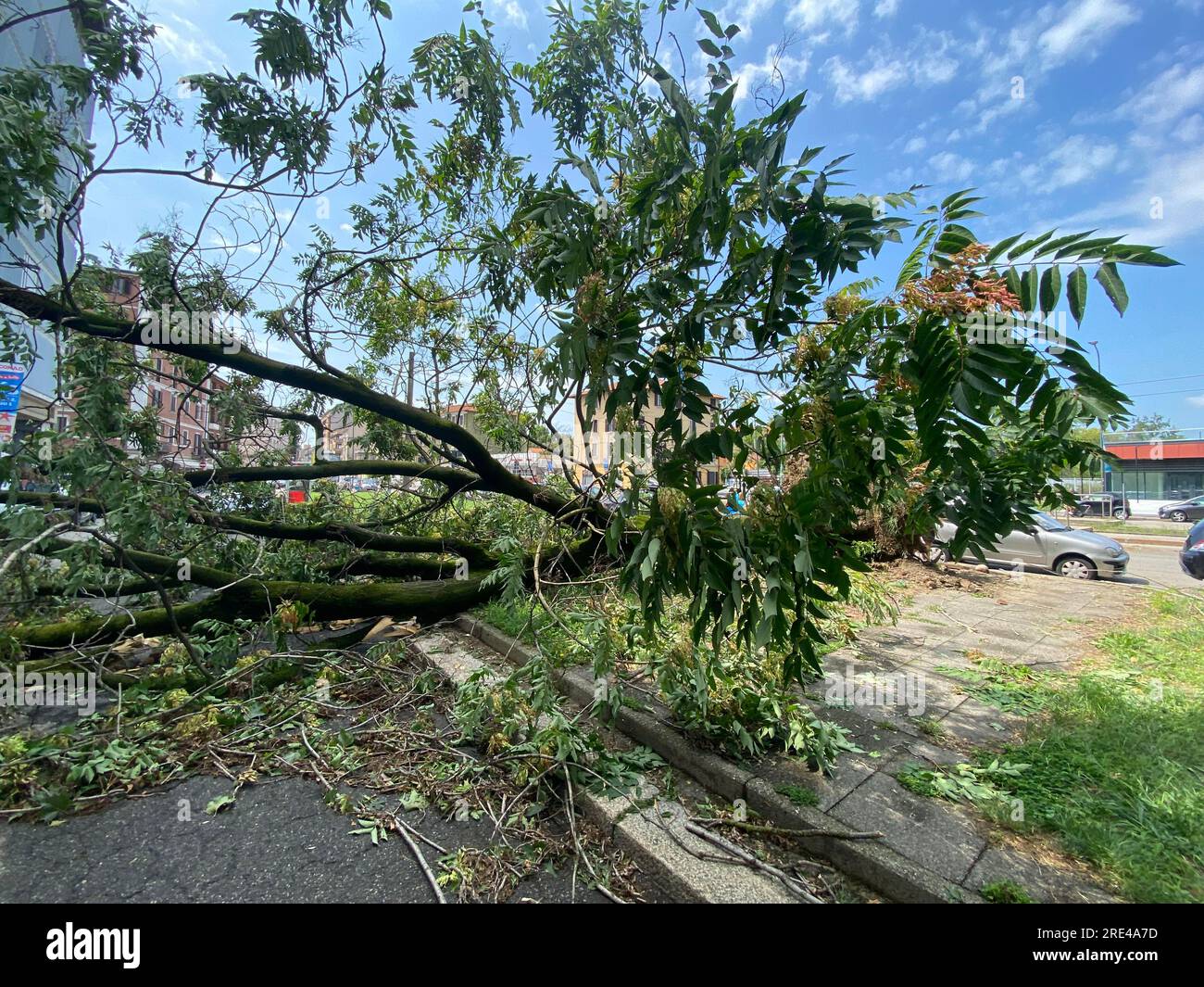 Milan, Italy - July 25, 2023: Street view of Milano, fallen trees and ...