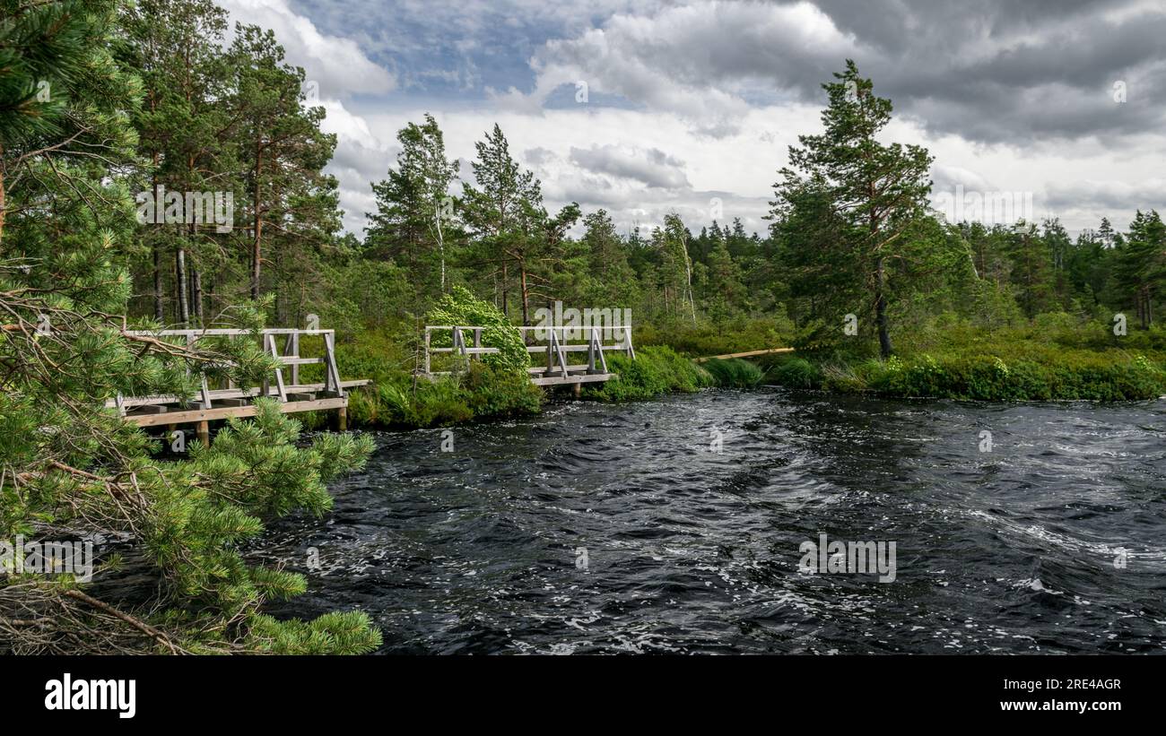 windy landscape with a swamp lake, a wooden pedestrian bridge, the lake ...