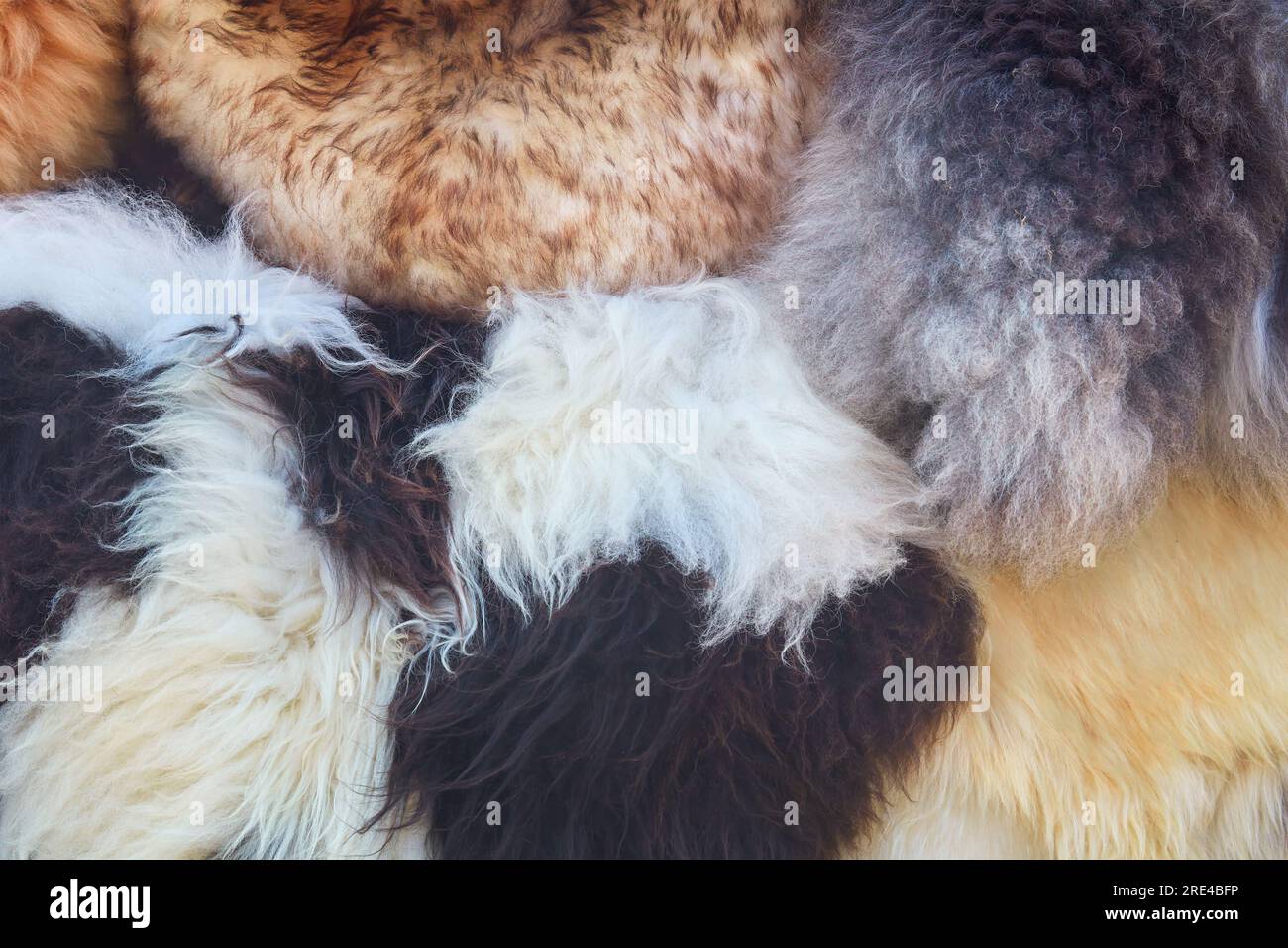 Pattern of different colorful sheep wool rugs Stock Photo - Alamy