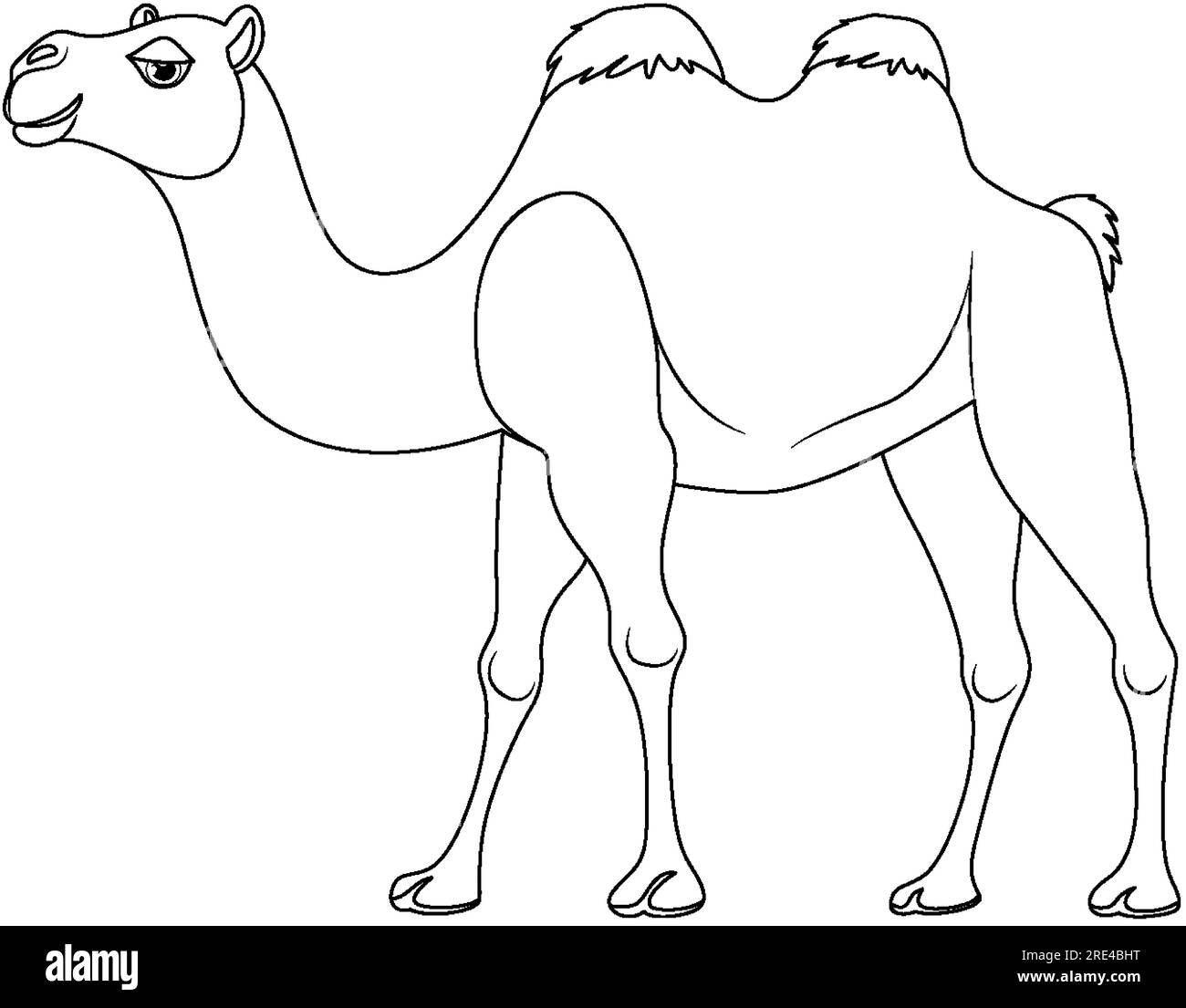 A vector cartoon illustration of a camel walking, isolated on a white ...