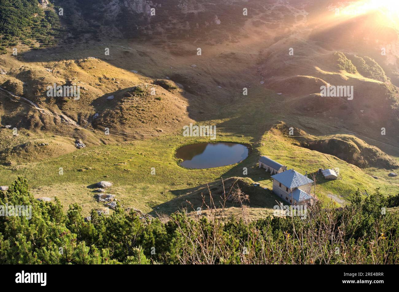 Alpine dairy for artisanal, sustainable production of cheese, yogurt ...