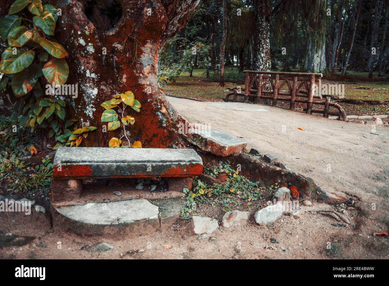 A crossroads of two dirt roads in a tropical public park with a stone ...