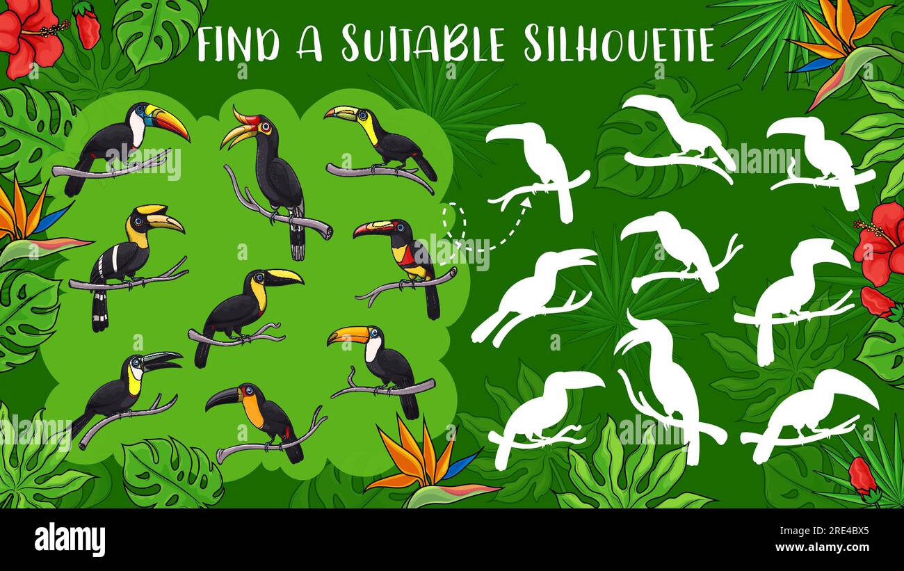 Toucanet Stock Vector Images - Alamy