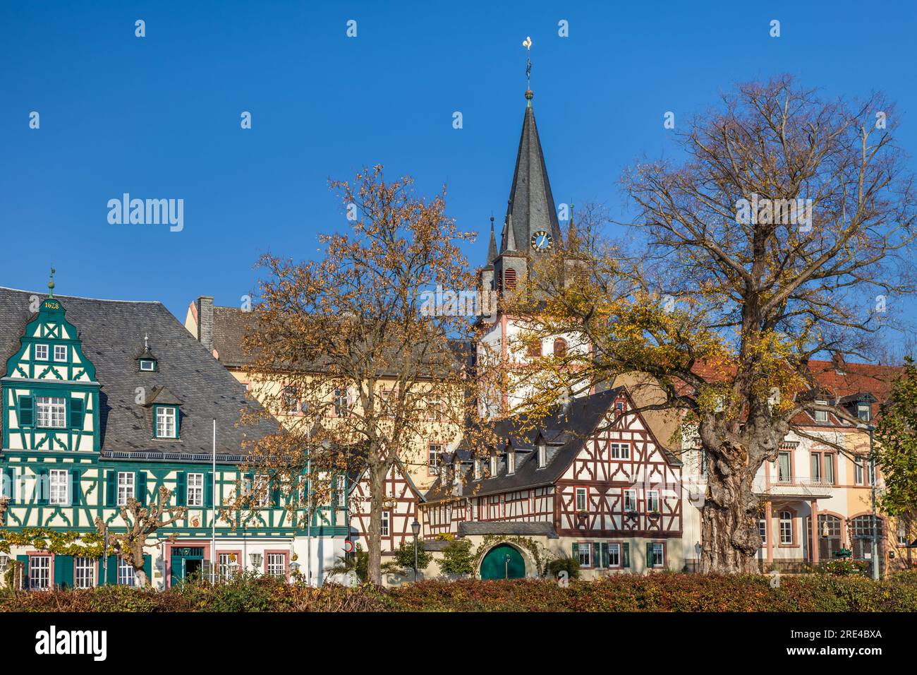 Oestrich hi-res stock photography and images - Alamy