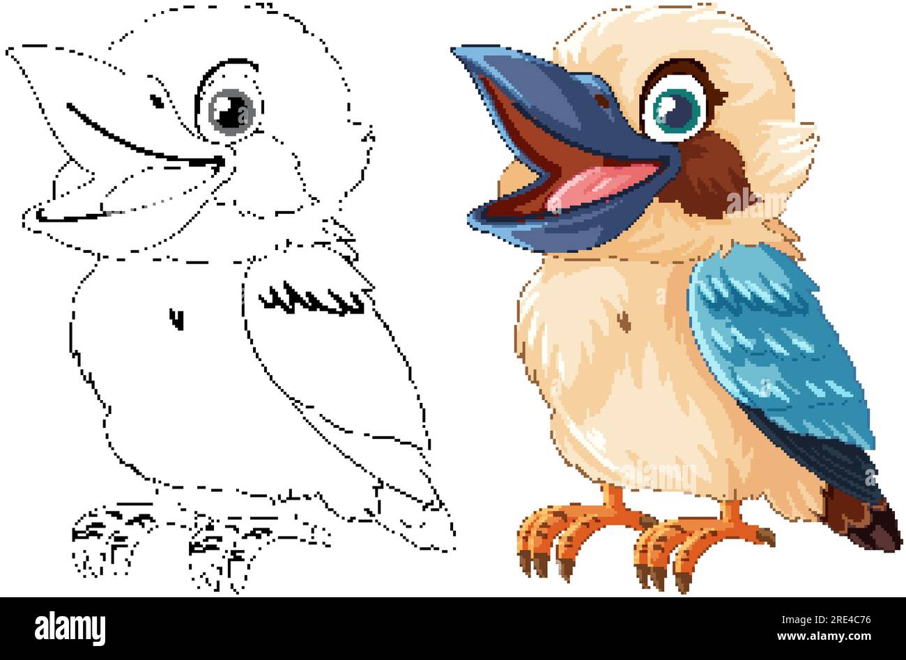 Kookaburra Cartoon