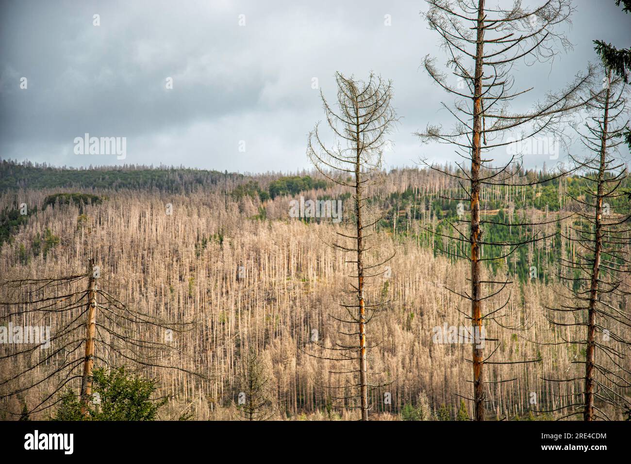 Global warming adaptation hi-res stock photography and images - Alamy