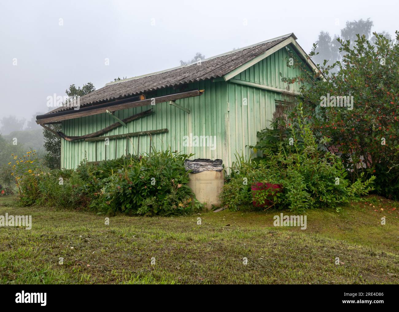 fog landscape, simple wooden garden house, beautiful flowering garden ...