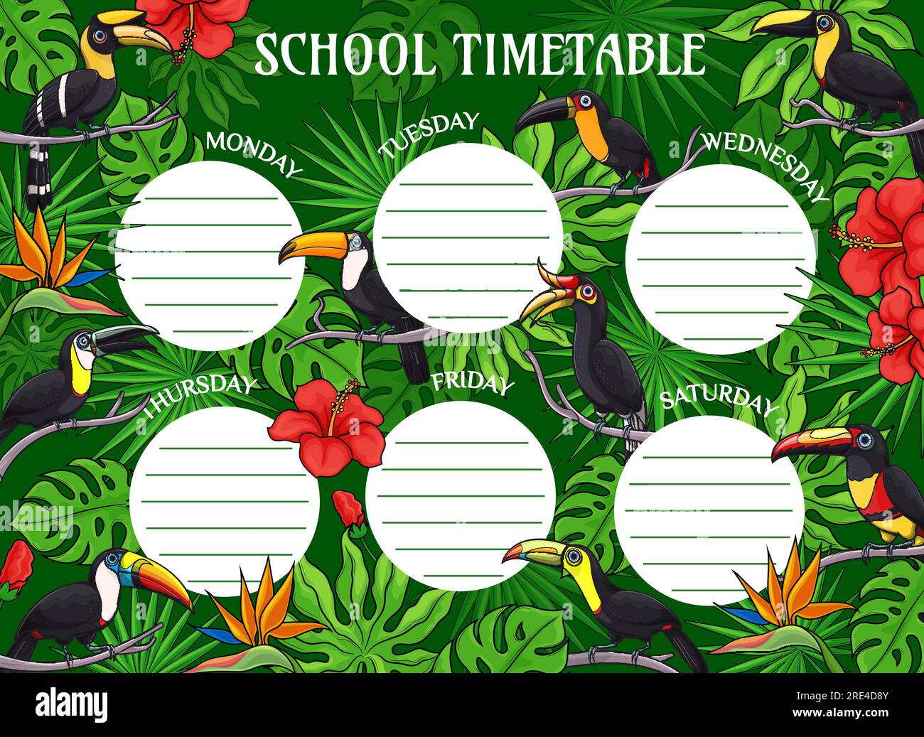 Cartoon toucan birds education timetable schedule. School vector weekly ...
