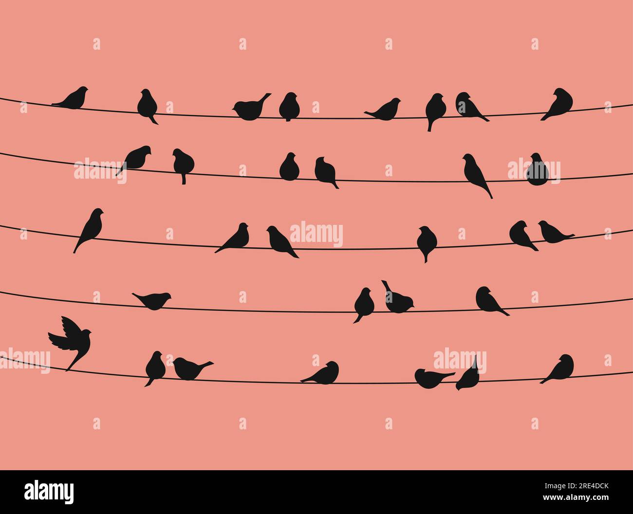 Telephone wires sunset Stock Vector Images - Alamy