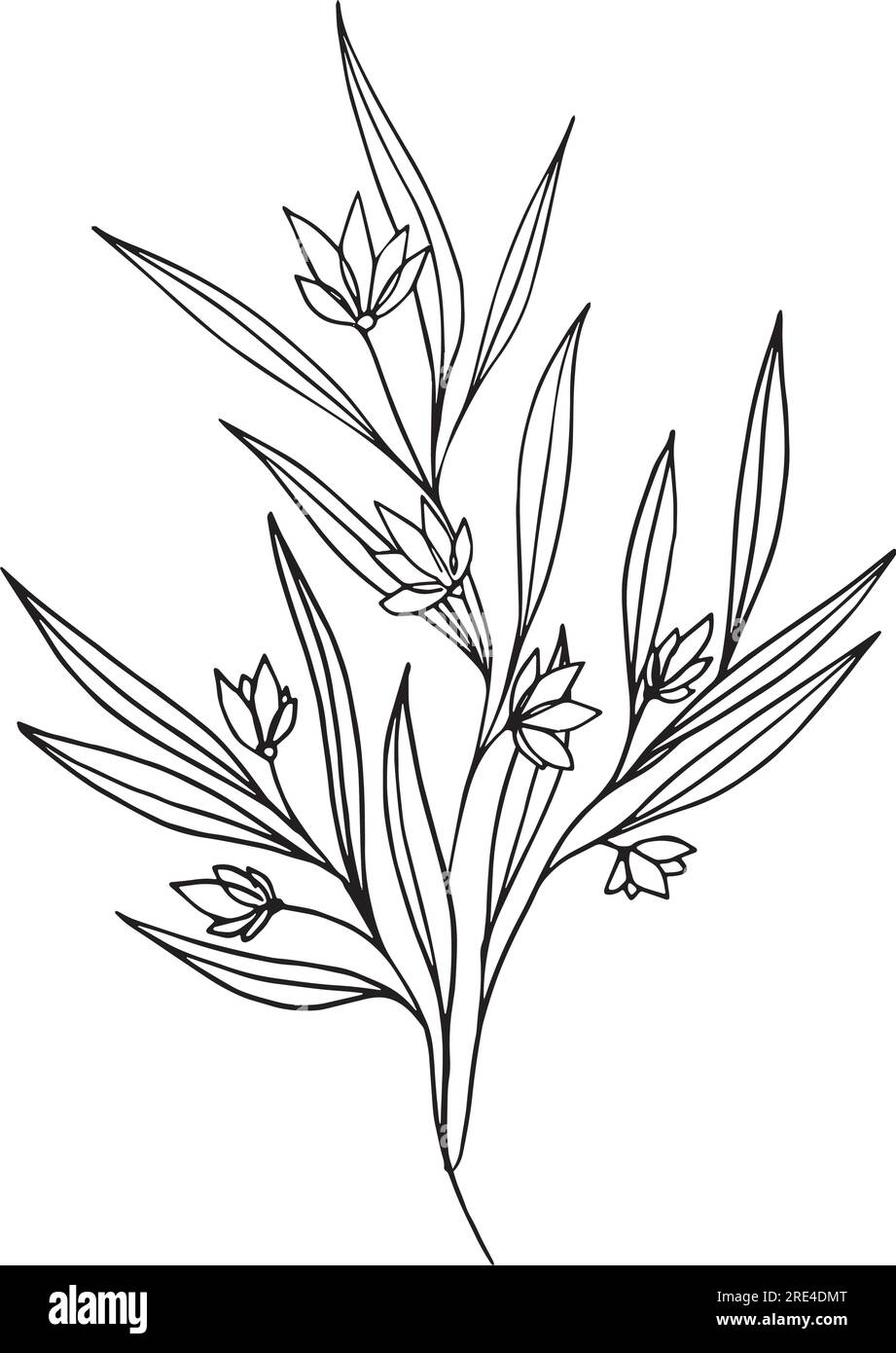 Botanical Abstract Line Art Composition With Minimal Floral Elements Of