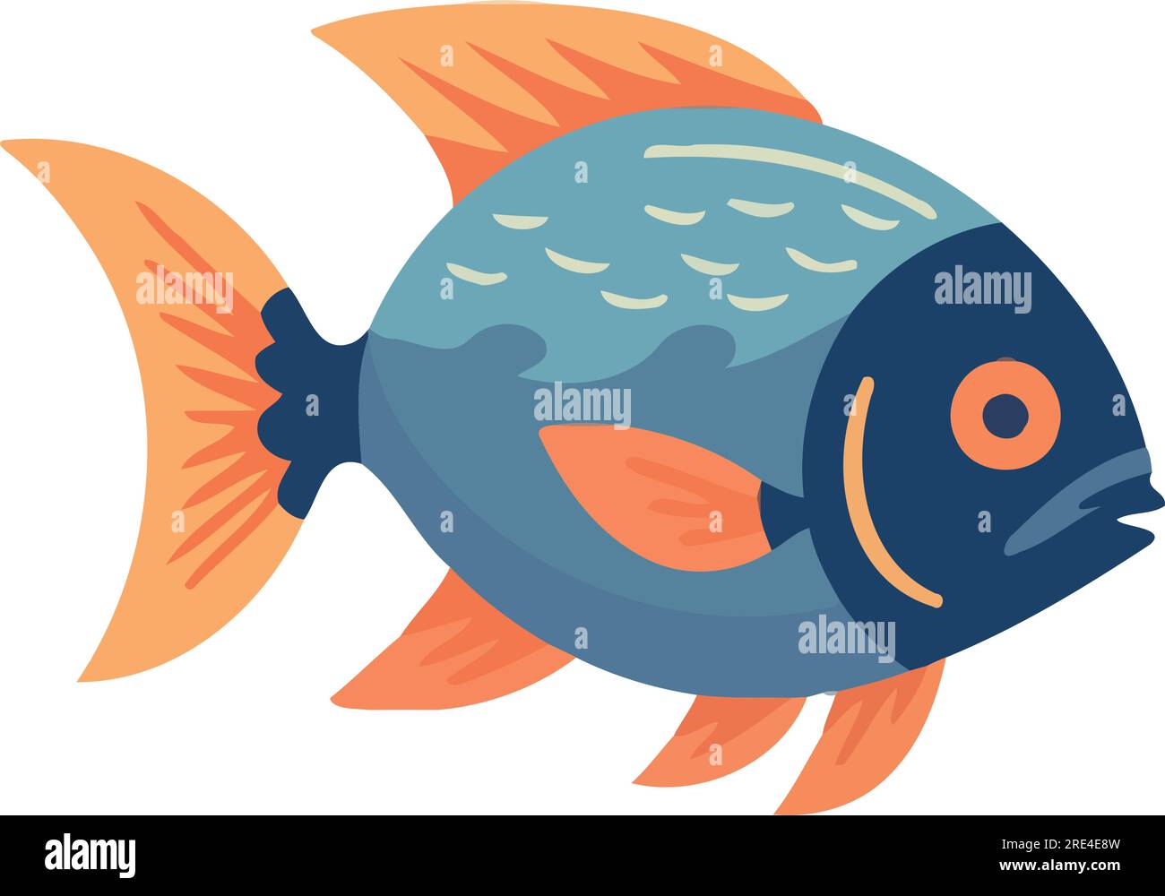 Golden carp illustration over white Stock Vector Image & Art - Alamy