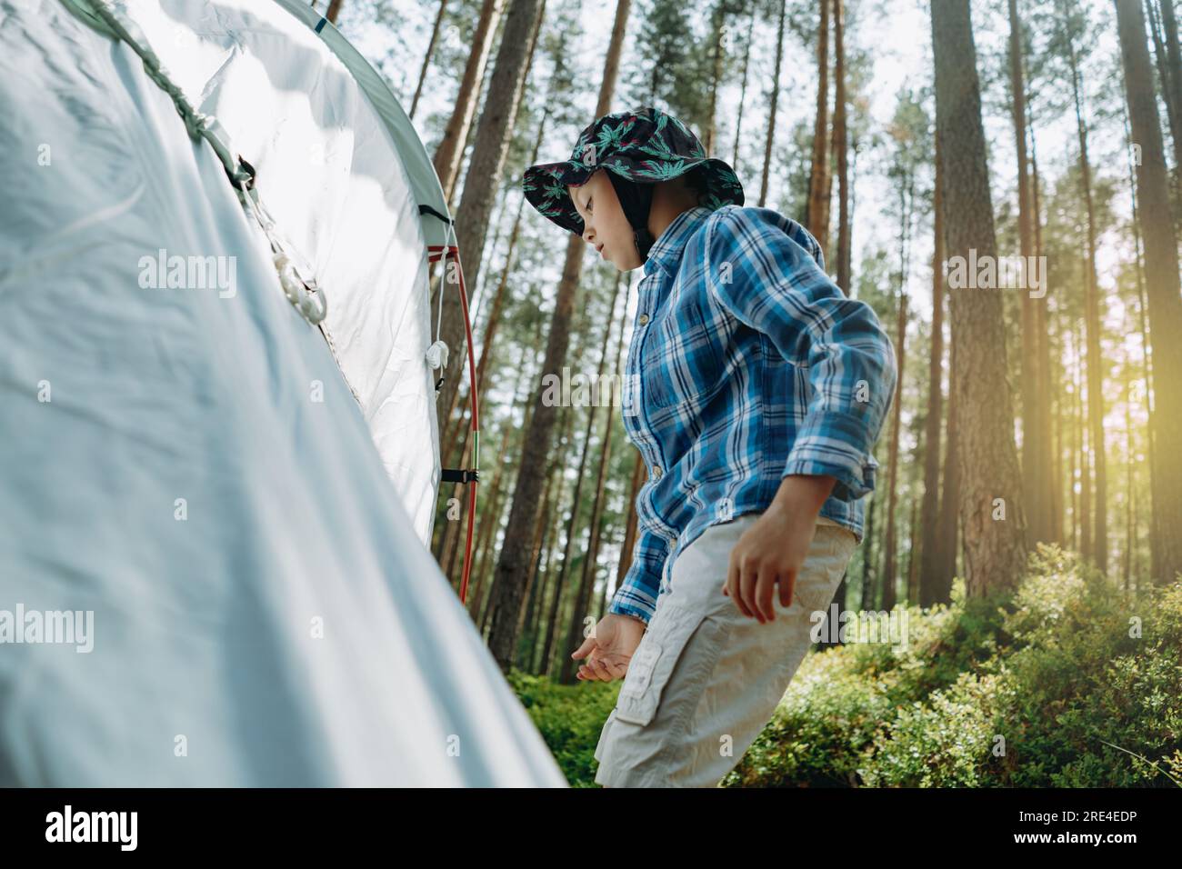 cute little caucasian boy putting up a tent. Family camping conceptsunset shadows from trees ...