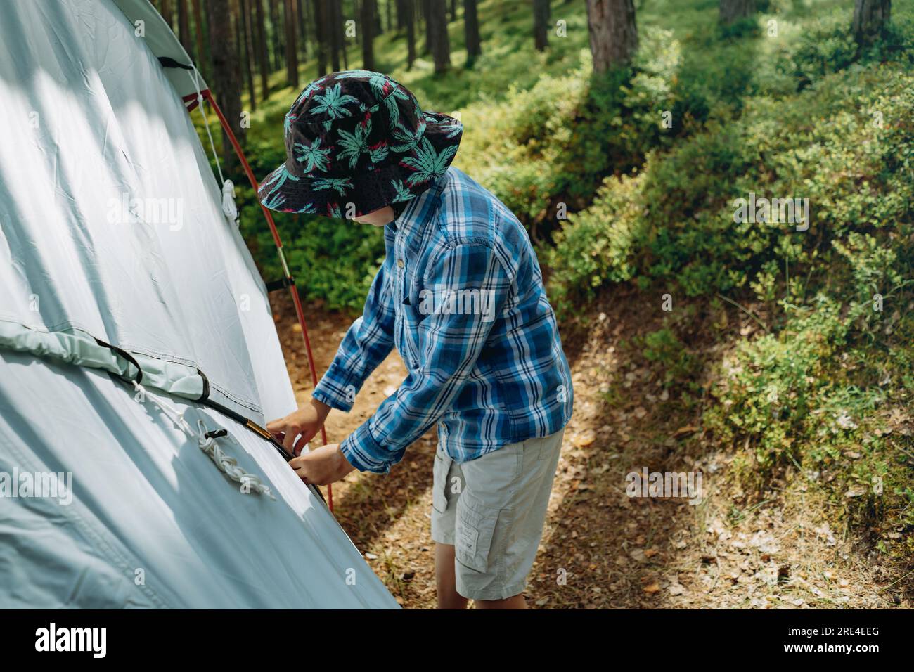 cute little caucasian boy putting up a tent. Family camping conceptsunset shadows from trees ...