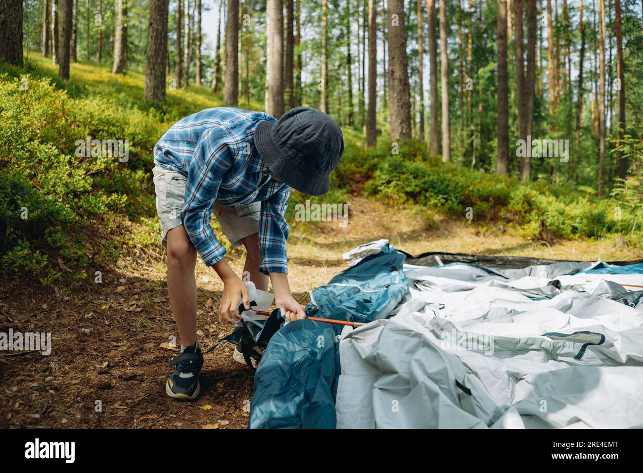 cute caucasian boy putting up a tent. Family camping conceptsunset shadows from trees. Family ...