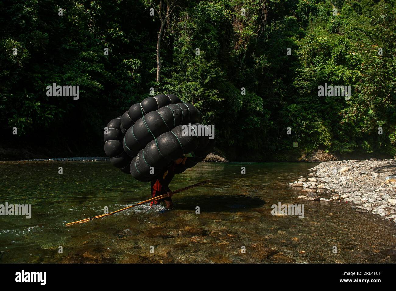 The tropical rain forest trees of Gunung Leuser National Park are seen ...