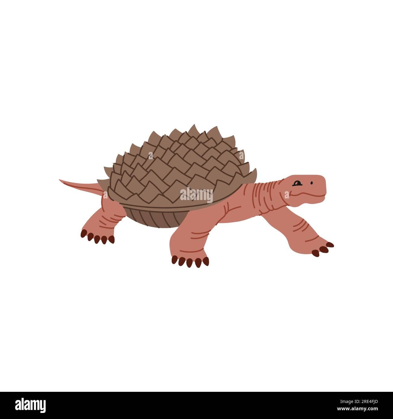 Turtle cartoon hi-res stock photography and images - Alamy