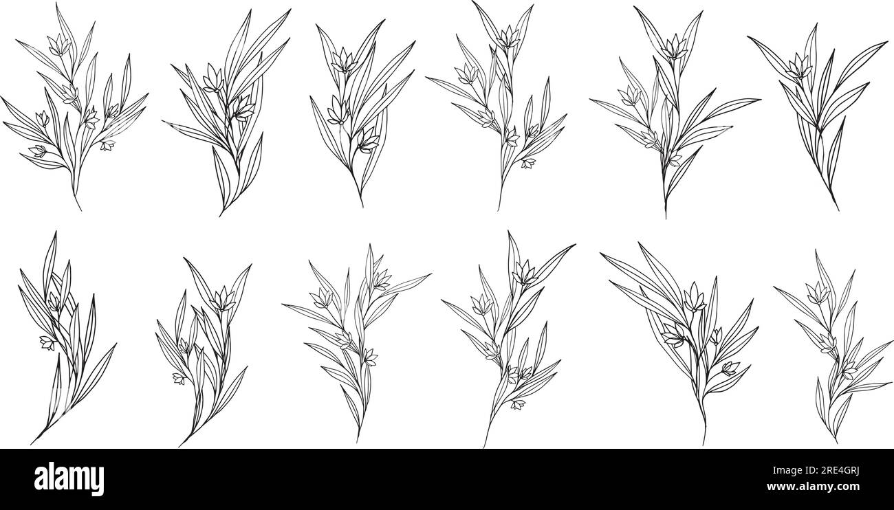Set Of Botanical Abstract Line Art Composition With Minimal Floral