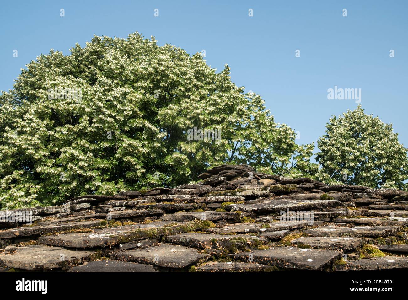 Roof of old country house with covered stone slabs Stock Photo - Alamy