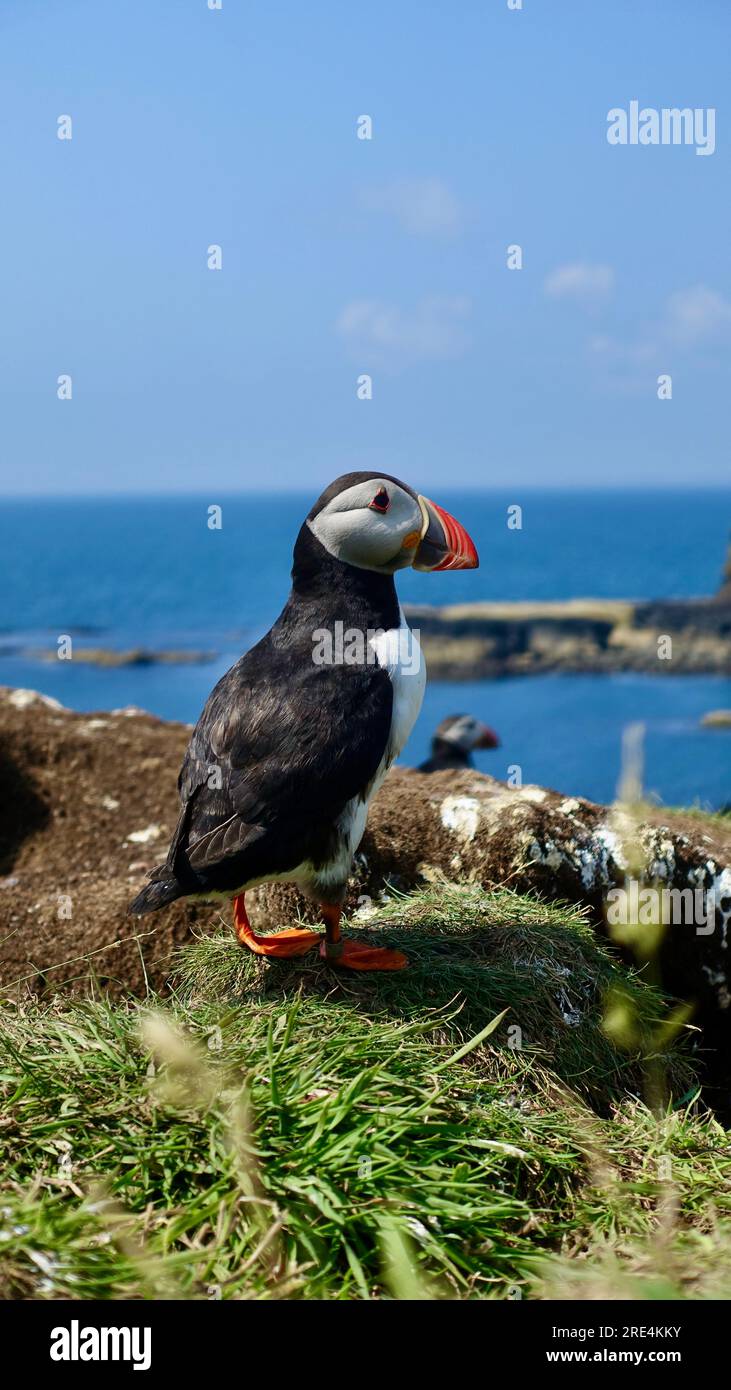 Lunga hi-res stock photography and images - Alamy
