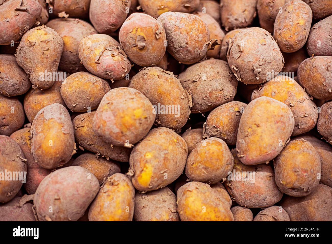 background of young white potatoes on the counter in a flatlay store ...