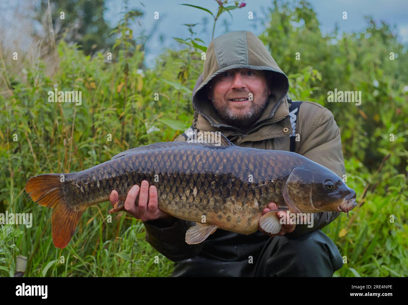Carp fisherman holding his catch up a common carp with a smile on his ...