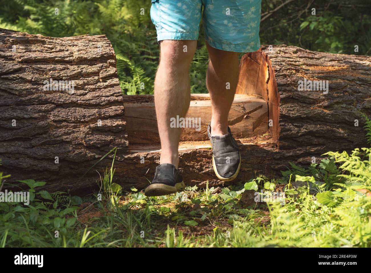 copy space image of hiker stepping over fallen tree with a cut out ...