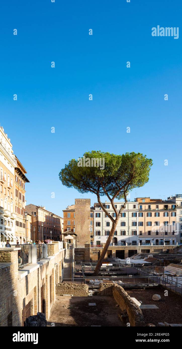 Rome, Lazio, Italy, Largo di Torre Argentina is a square in Rome, Italy ...